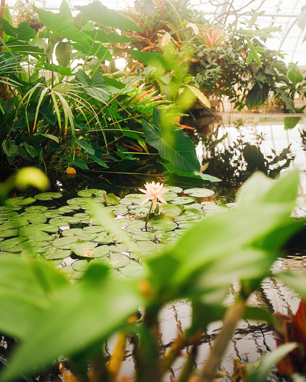 Photographer Highlights | Kodak Alaris